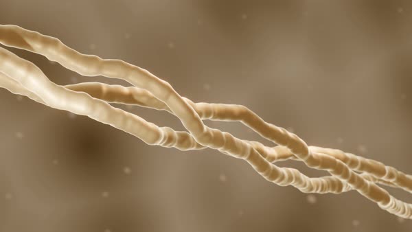 Collagen, animation - 4K Royalty-free Stock Video Footage | Dissolve