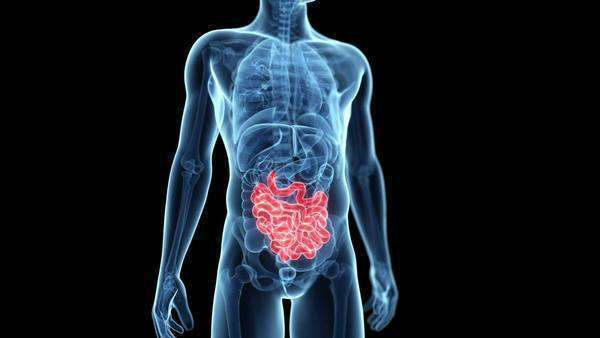 Human small intestine, animation. - HD Royalty-free Stock Video Footage ...