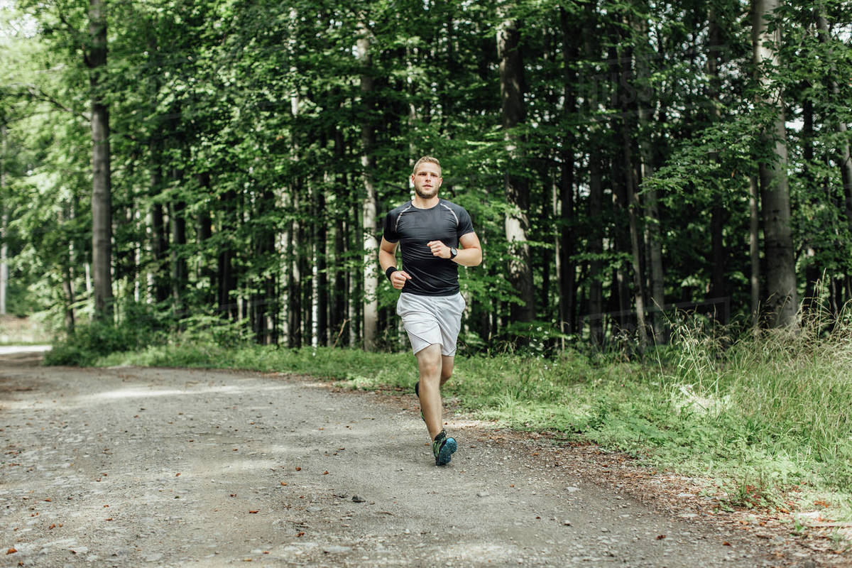 Male runner running along a nature trail through the woods - Stock ...
