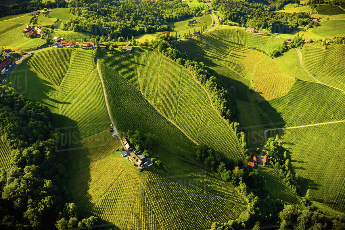 Aerial view of green hills and vineyards with mountains in background ...