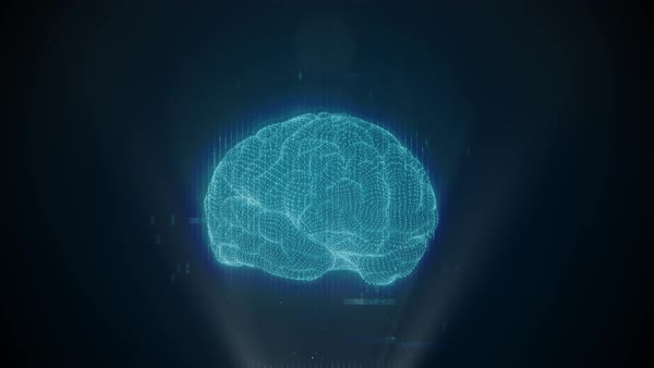 Brain scan technology. 3D Animation of Human Brain. - 4K Royalty-free ...
