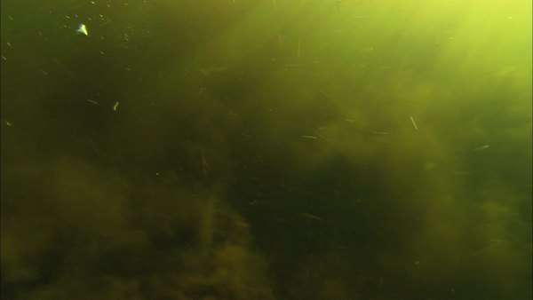 Underwater shot of sand dust - HD Rights-managed Stock Video Footage ...