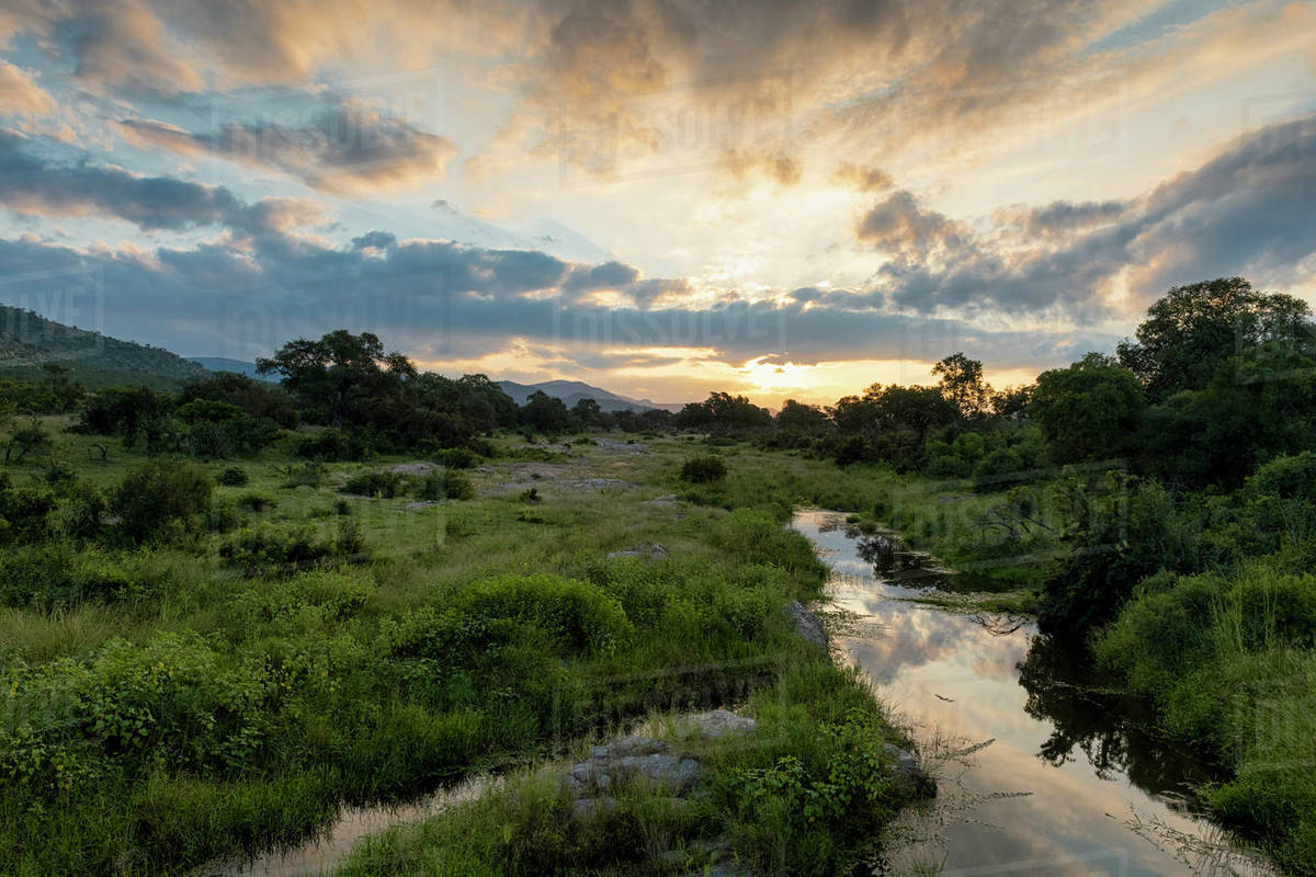 A small river flowing through lush vegetation at Berg-en-Dal in Kruger ...