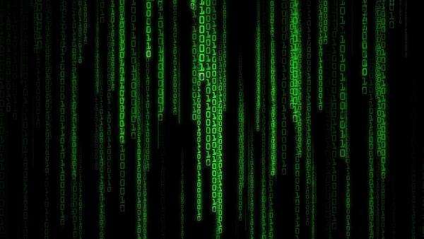 High definition animated loop of green binary streams falling over a ...
