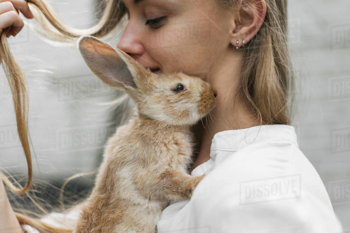 Young woman holds a little cute rabbit in her arms - Royalty-free Stock ...
