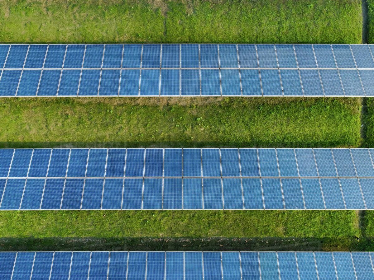 Aerial view of solar energy panels on sunny day, solar panels, Solar ...