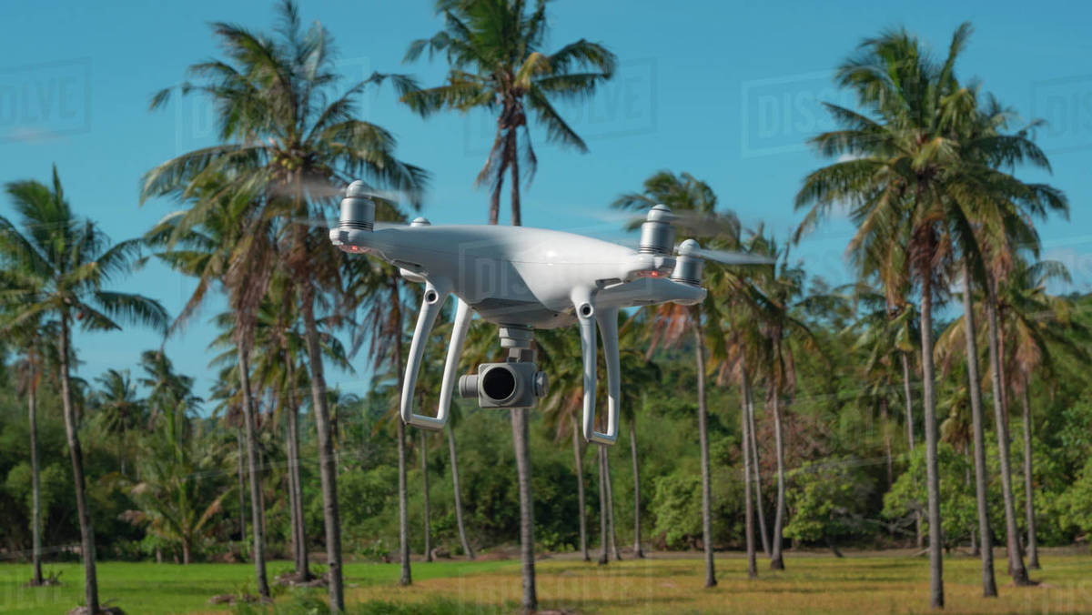 White drone quadrocopter flying against the background of a tropical ...