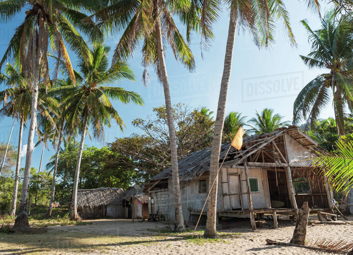 Rustic huts made of natural materials are nestled along a sandy beach ...