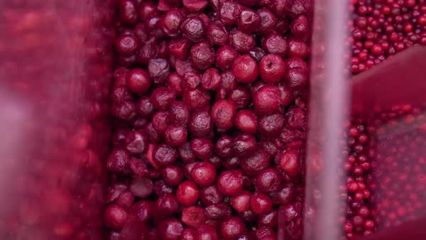 Different red berries in the frozen food section of a supermarket ...