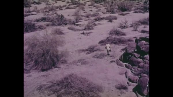 1962 - In this classic B movie, a caveman attacks an explorer who was ...