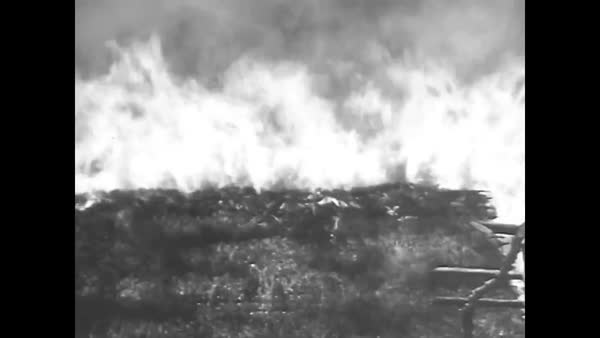 Fanny Kaplan attempts to assassinate Vladimir Lenin and, later, the ...