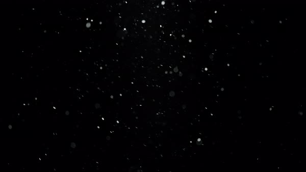 White dust particles floating fast in the air on black background. Slow ...