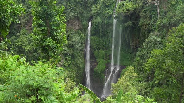 Waterfall in green rainforest. Triple waterfall Sekumpul in the ...