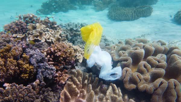 Plastic Bag polluting a coral reef, environmental pollution. Plastic ...