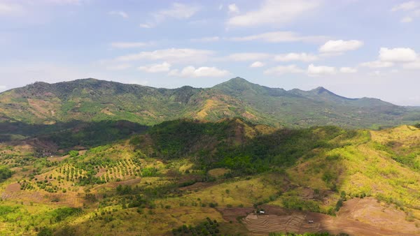 Farming and growing plants in rural areas of Mindanao island ...