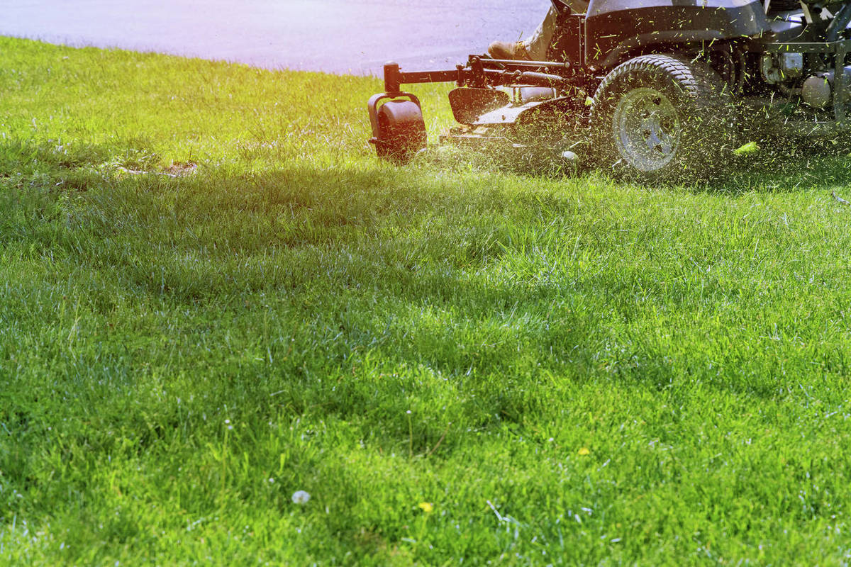 Lawn mower cutting green grass in gardening along the street - Royalty ...