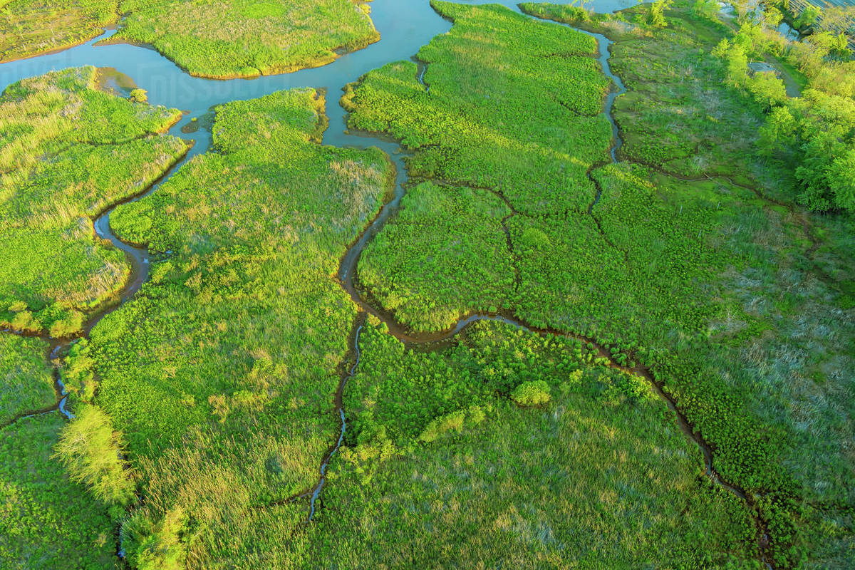 The aerial overhead of the confluence of the blue rivers on nature ...