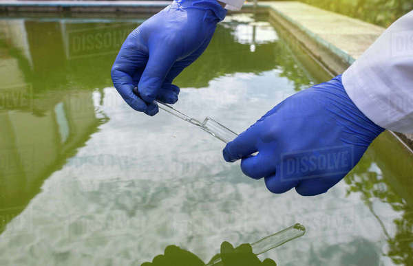 Water sample. Bacterial control of pool water. Checking the amount of ...