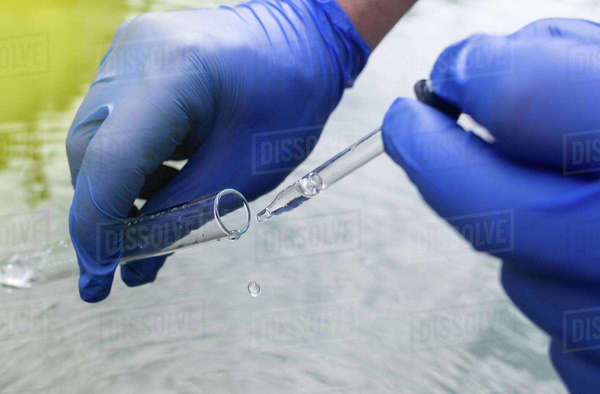 Water sample. Checking the condition of rivers or natural lakes. Water ...