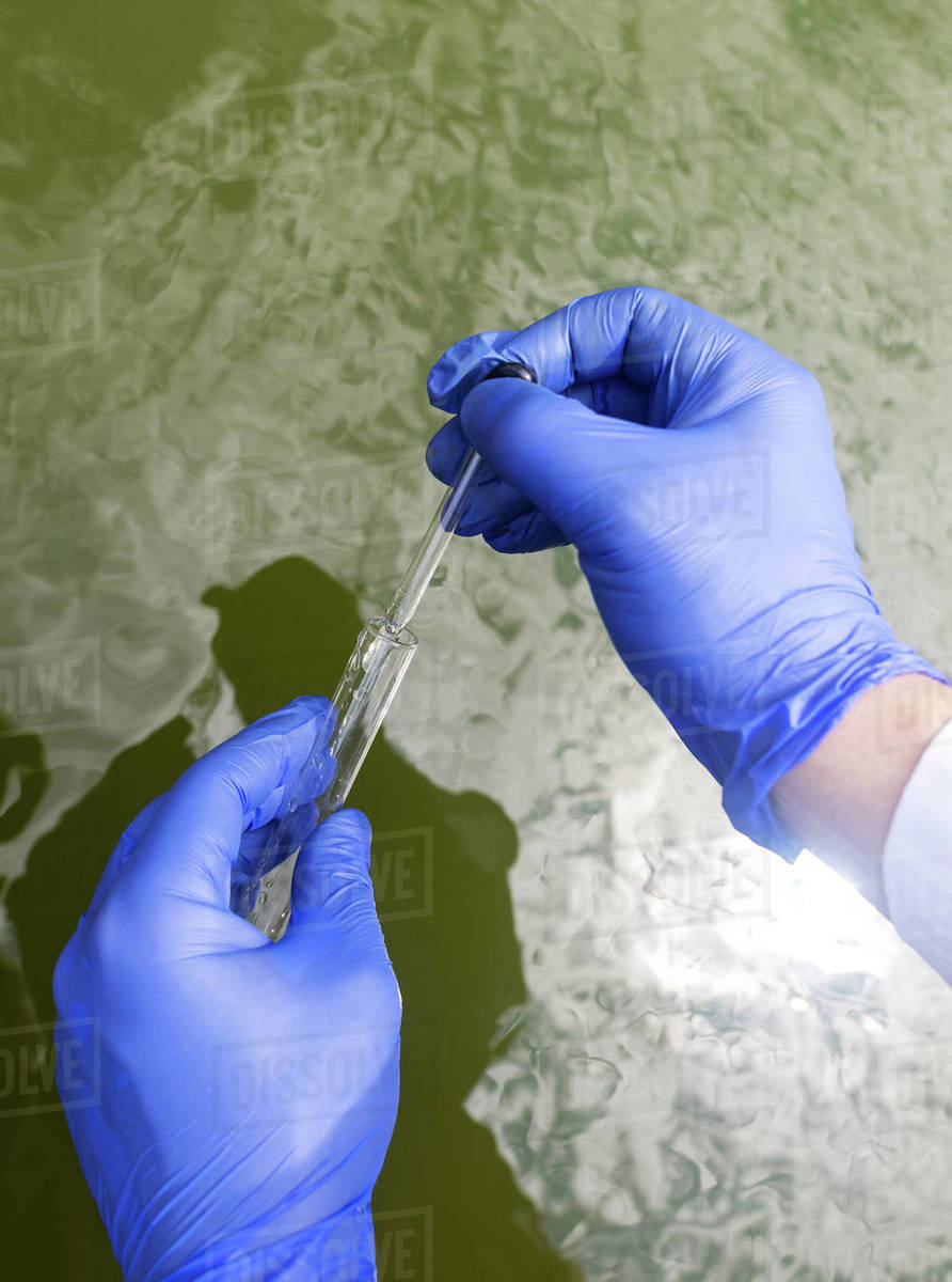 Water sample. Checking the condition of rivers or natural lakes. Water ...