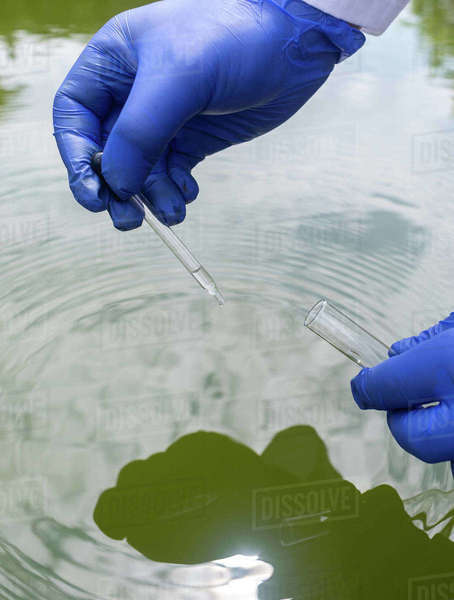 Water sample. Checking the condition of rivers or natural lakes. Water ...