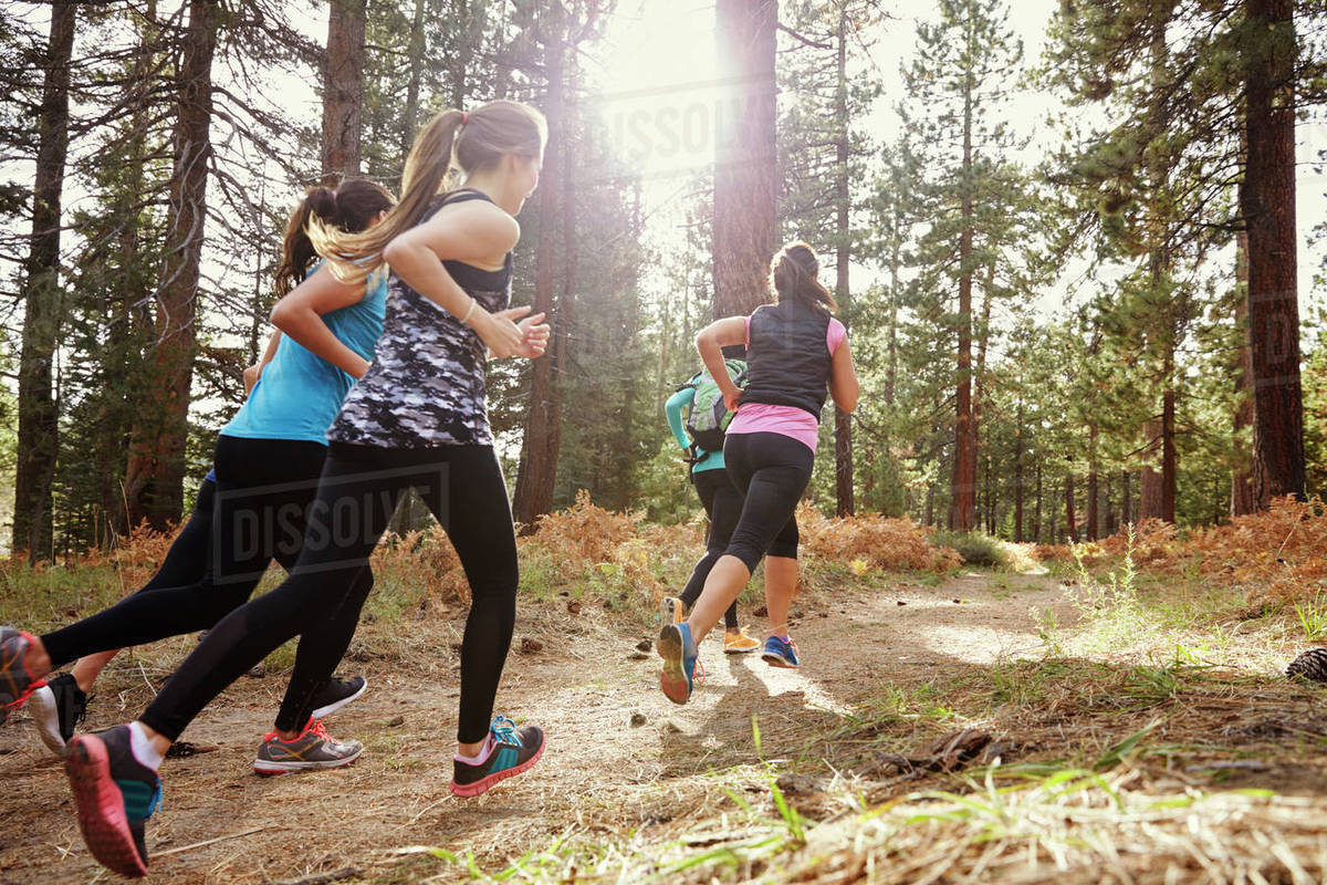 Group of young adult women running in a forest, back view - Royalty ...