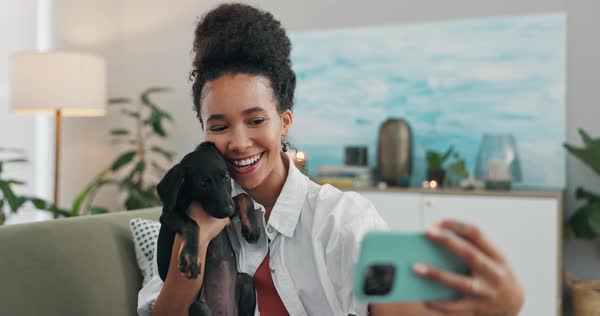 Woman, dog and puppy or happy with selfie for profile picture upload ...