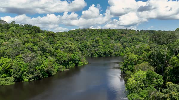 Amazon River at Amazon Rainforest. The biggest tropical rainforest of ...