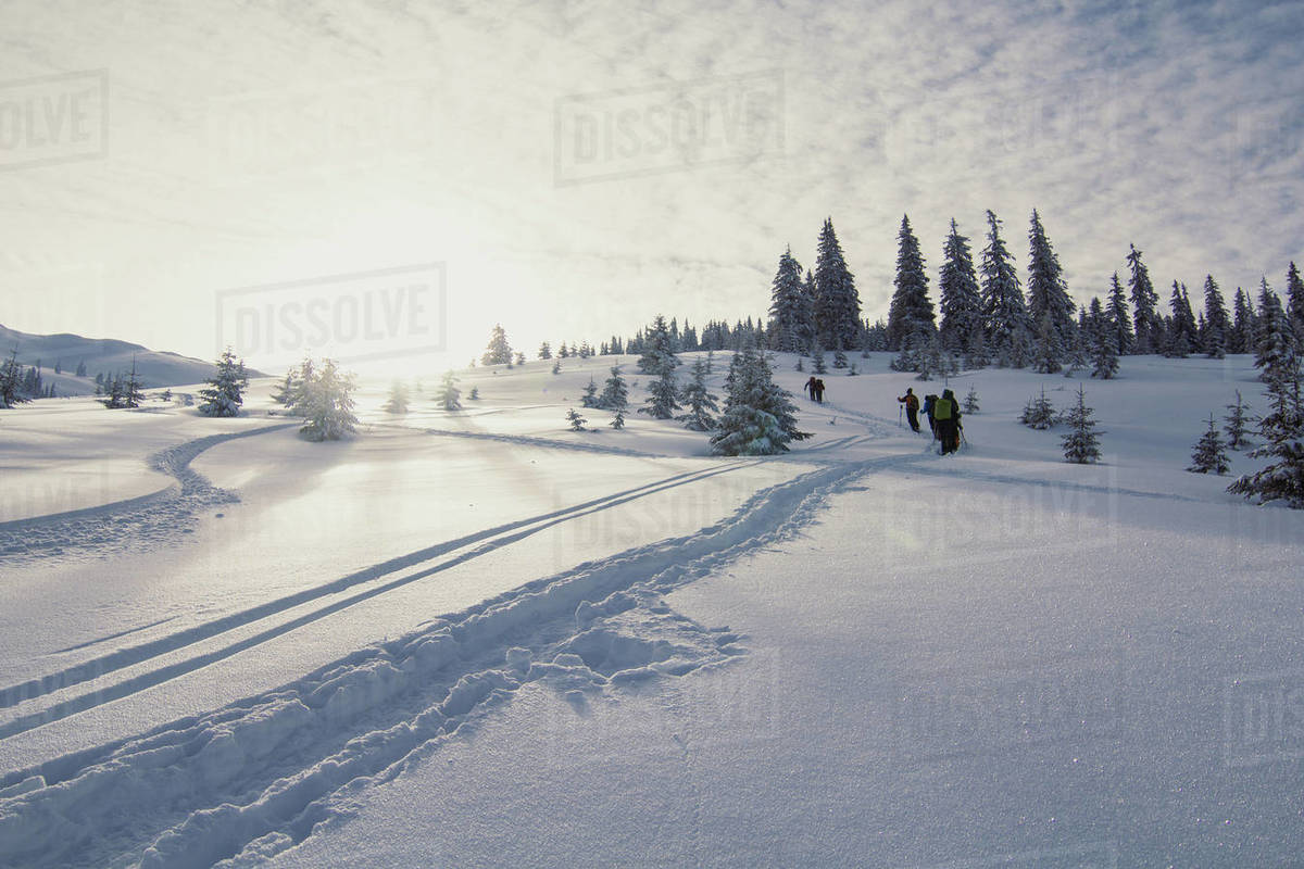 Skiers leaving trails behind on snow landscape photo. Beautiful nature ...