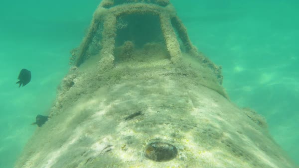 UNDERWATER CLOSE UP: Algae covered military airplane deteriorates in ...
