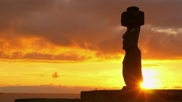 SILHOUETTE, LENS FLARE, COPY SPACE, LOW ANGLE: Summer sunset ...