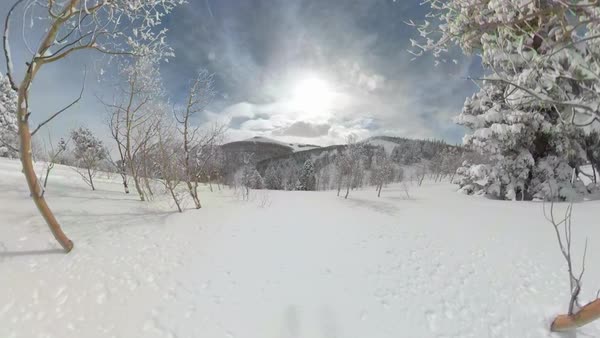 POV: Awesome shot of shredding fresh powder snow covering the woods in ...