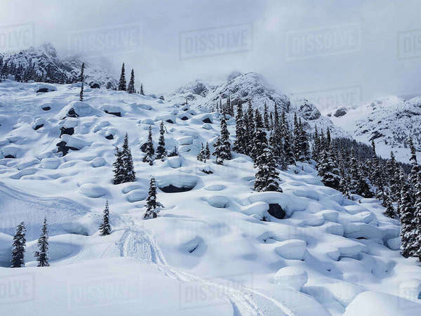 Ski trails running past the powder snow pillows forming in the Rocky ...