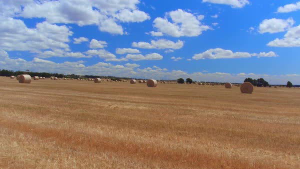 AERIAL: Flying close above endless golden field of bales of mowed hay ...
