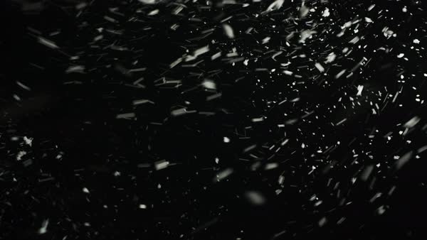 Stormy weather, snow falling, big snowflakes with gusts of wind ...