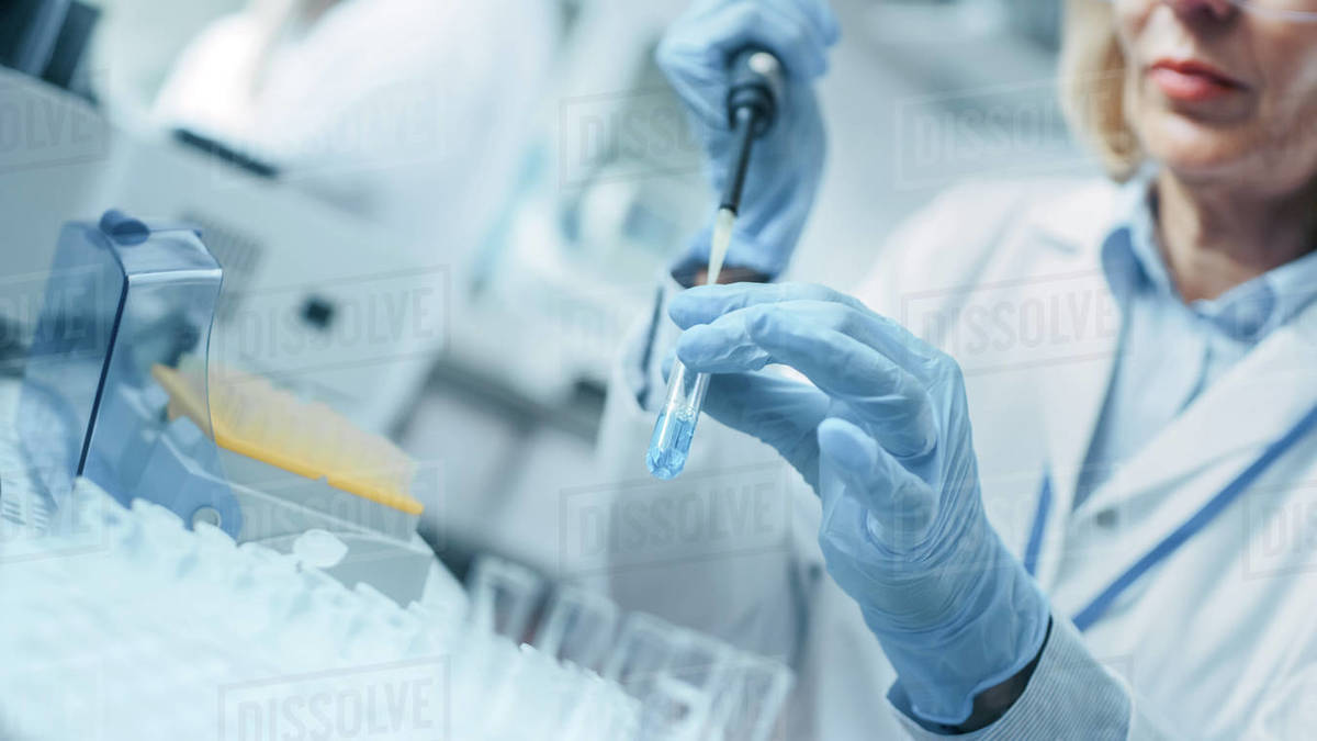 Close-up of the Hand in Glove Using Micro Pipette while Working with ...