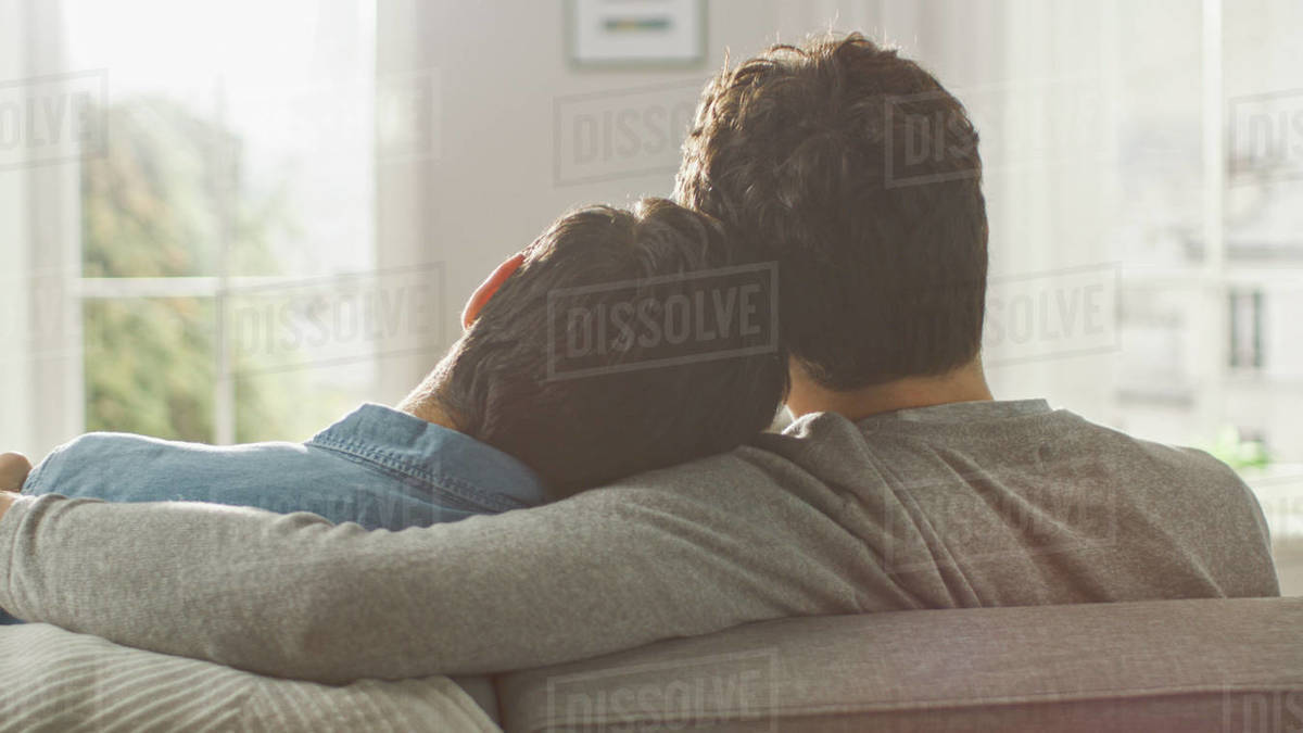 Back shot of cute male couple hug while sitting on a sofa and putting ...