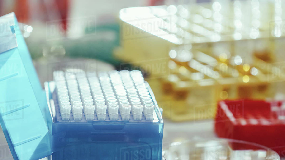 Close-up Shot of a Test-tubes in a Modern Laboratory. Genetics and ...