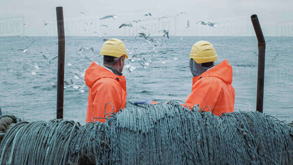 Crew of Fishermen Work on Commercial Fishing Ship that Pulls Trawl Net ...