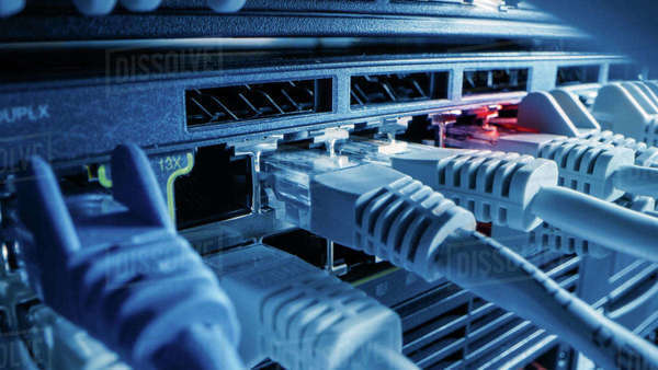 Close-up Macro Shot: Ethernet Cables Connected to Router Ports ...