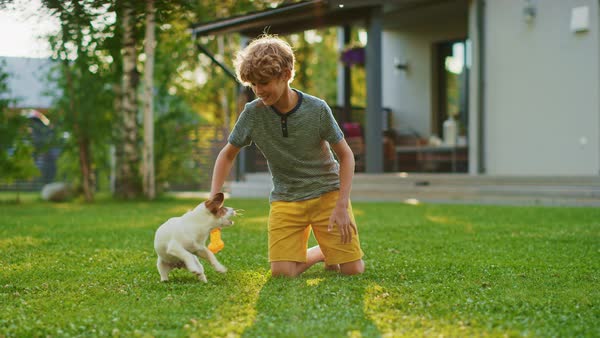 Cute Boy Plays with His Favourite Dog Friend while Having Picnic ...