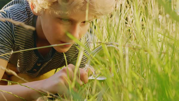 Handsome Young Naturalist Scientist Explores Plant Life and Insect Life ...