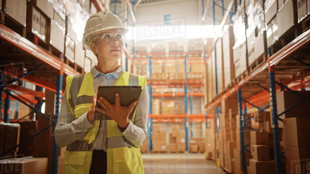 Professional Confident Worker Wearing Hard Hat Checks Stock and ...
