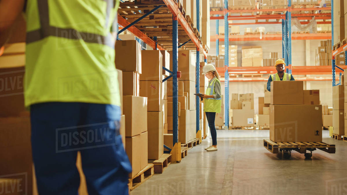 Retail Warehouse full of Shelves with Goods in Cardboard Boxes, Female ...