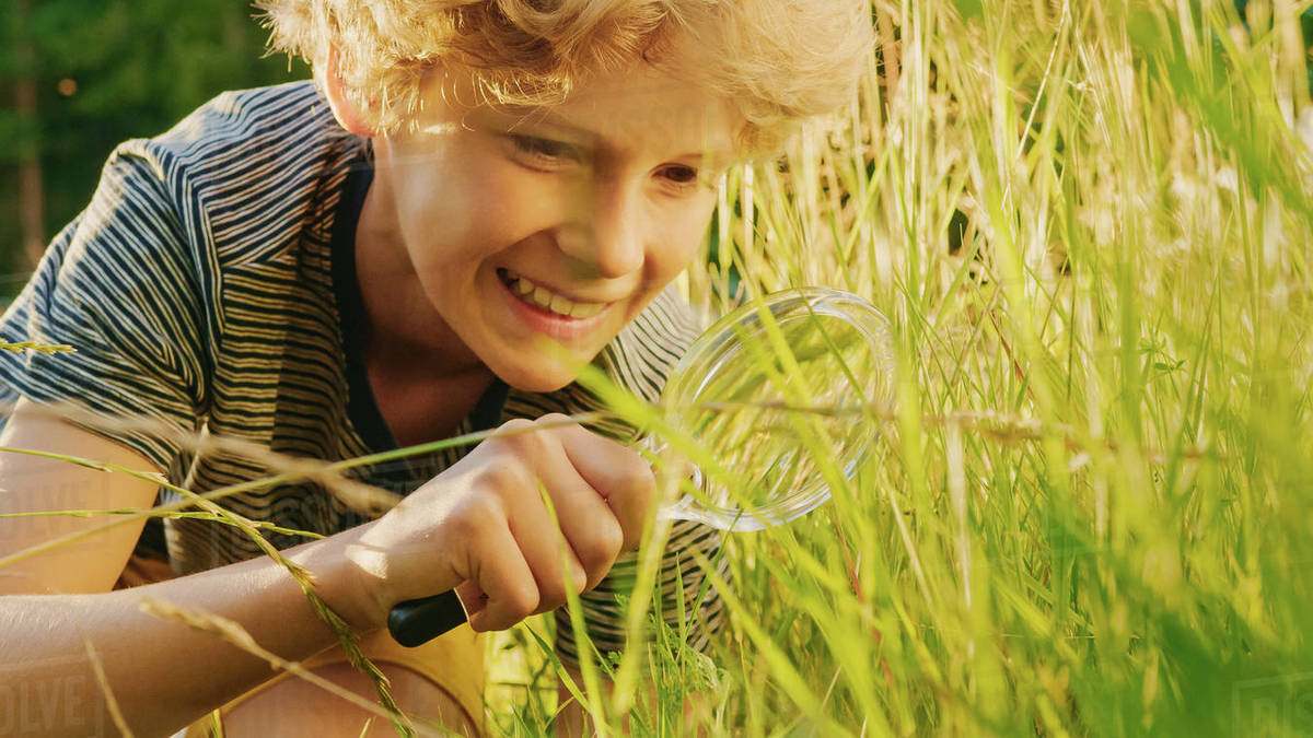 Handsome Young Naturalist Scientist Explores Plant Life and Insect Life ...