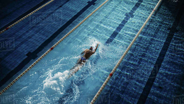 Female Swimmer Racing in Swimming Pool. Professional Athlete Overcoming ...