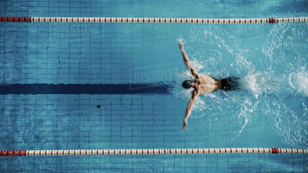 Aerial Top View Male Swimmer Swimming in Swimming Pool. Professional ...