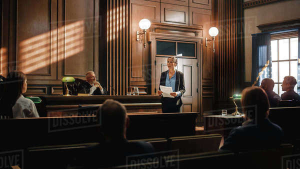 Female Public Defender Presenting the Case - Royalty-free Stock Photo ...