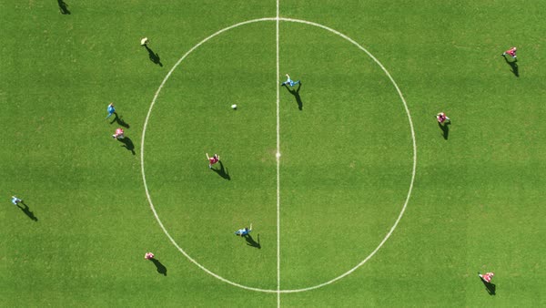 Professional Soccer Field View