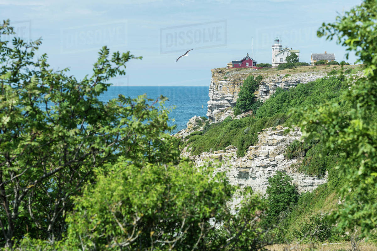 Lighthouse on coast - Royalty-free Stock Photo | Dissolve